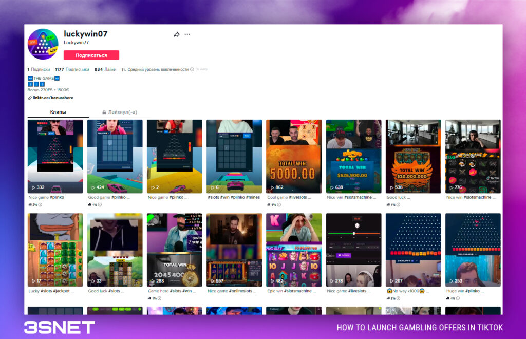 3Snet - How to launch gambling offers in TikTok